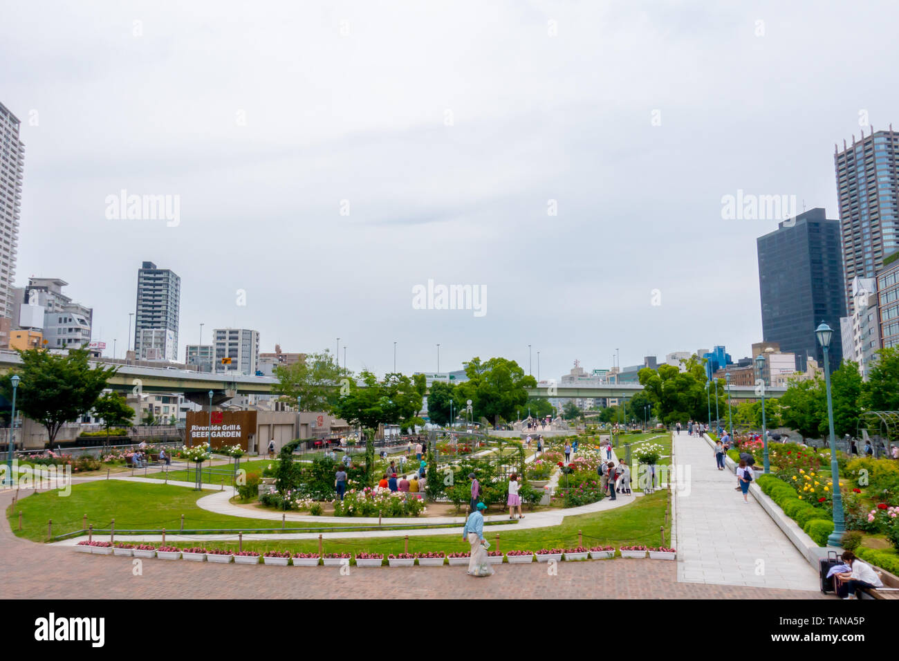 Osaka, Japan - May 28, 2018: Osaka Nakanoshima Rose Garden near Osaka ...
