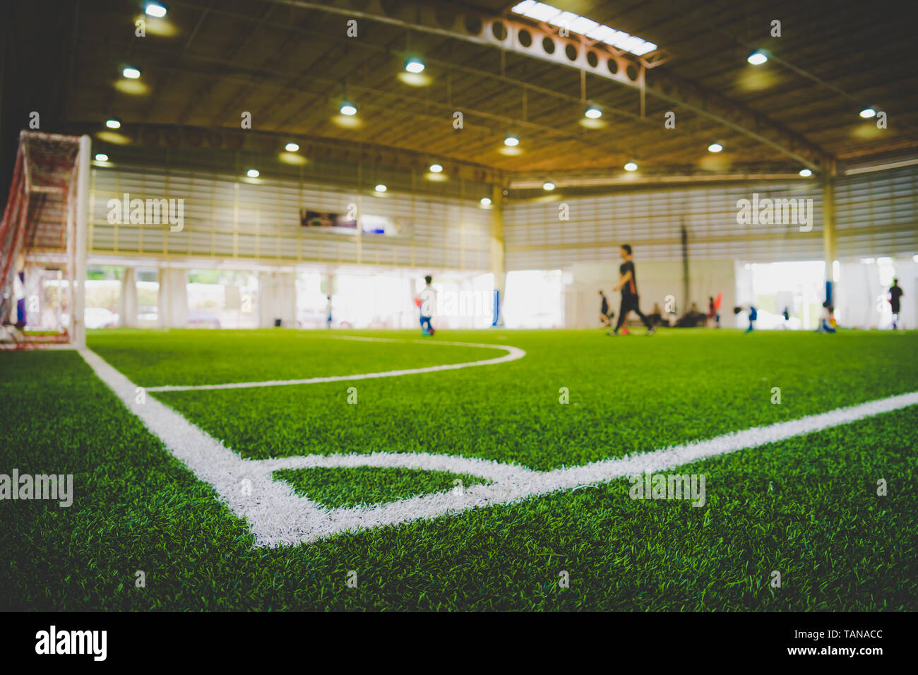 Corner Line of an indoor football soccer training field Stock Photo - Alamy
