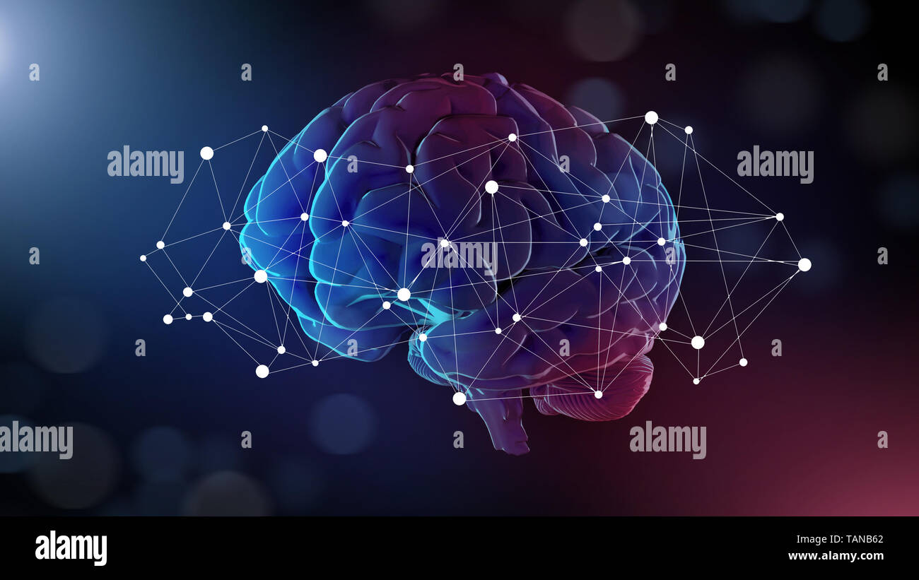 Human brain and connection network around it Stock Photo - Alamy