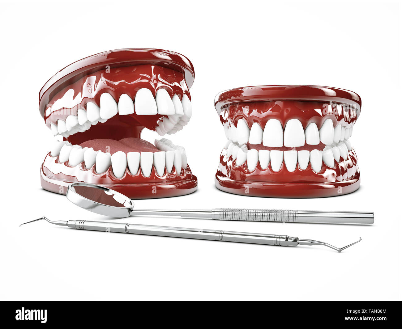 3d Illustration of human teeth, open and close mouth on white ...