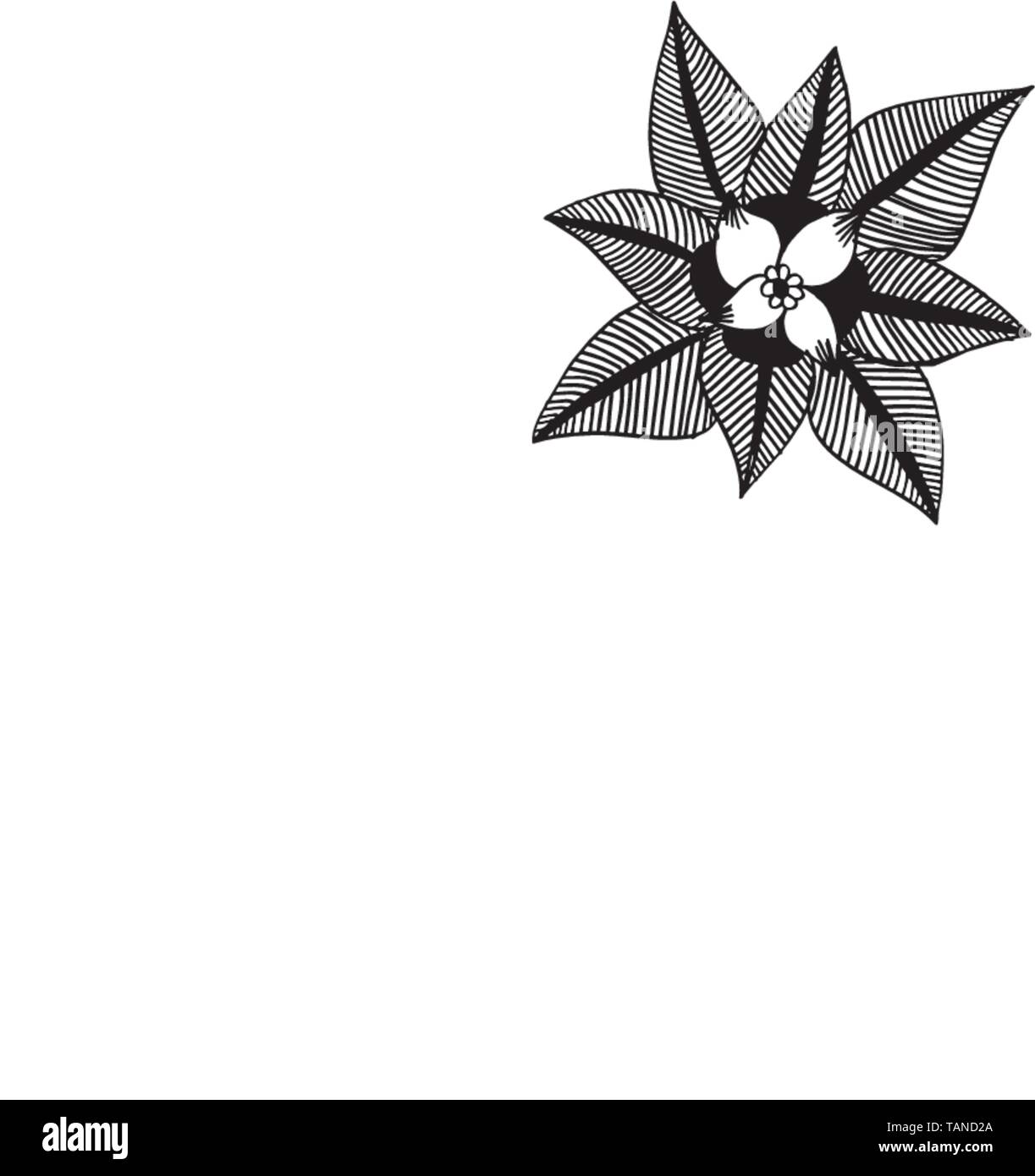 Vector illustration calligraphic style for design flower frame hand ...
