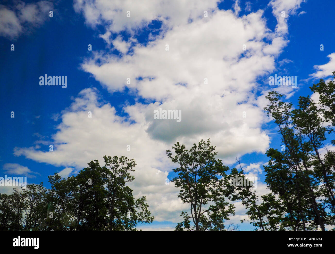 blue sky clouds and trees Stock Photo - Alamy