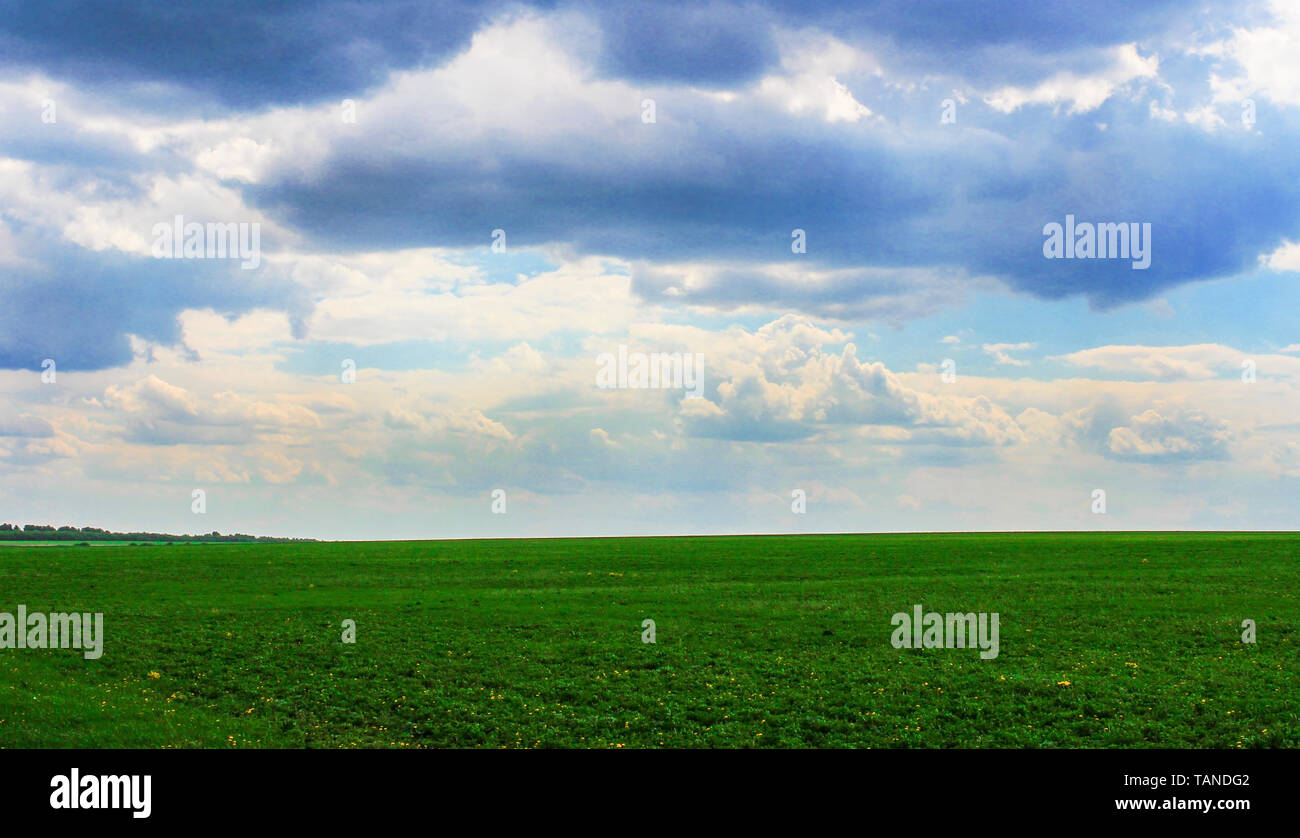Summer landscape with a view of the boundless field and sky with clouds ...