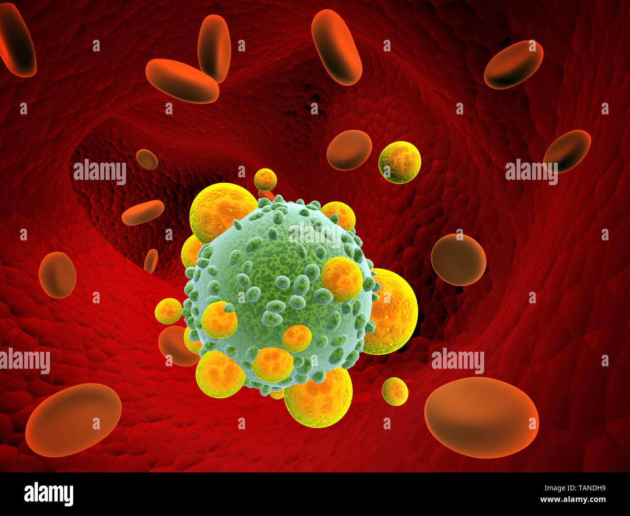 Erythrocytes and leukocytes attack the pathogen virus. 3d render Stock ...