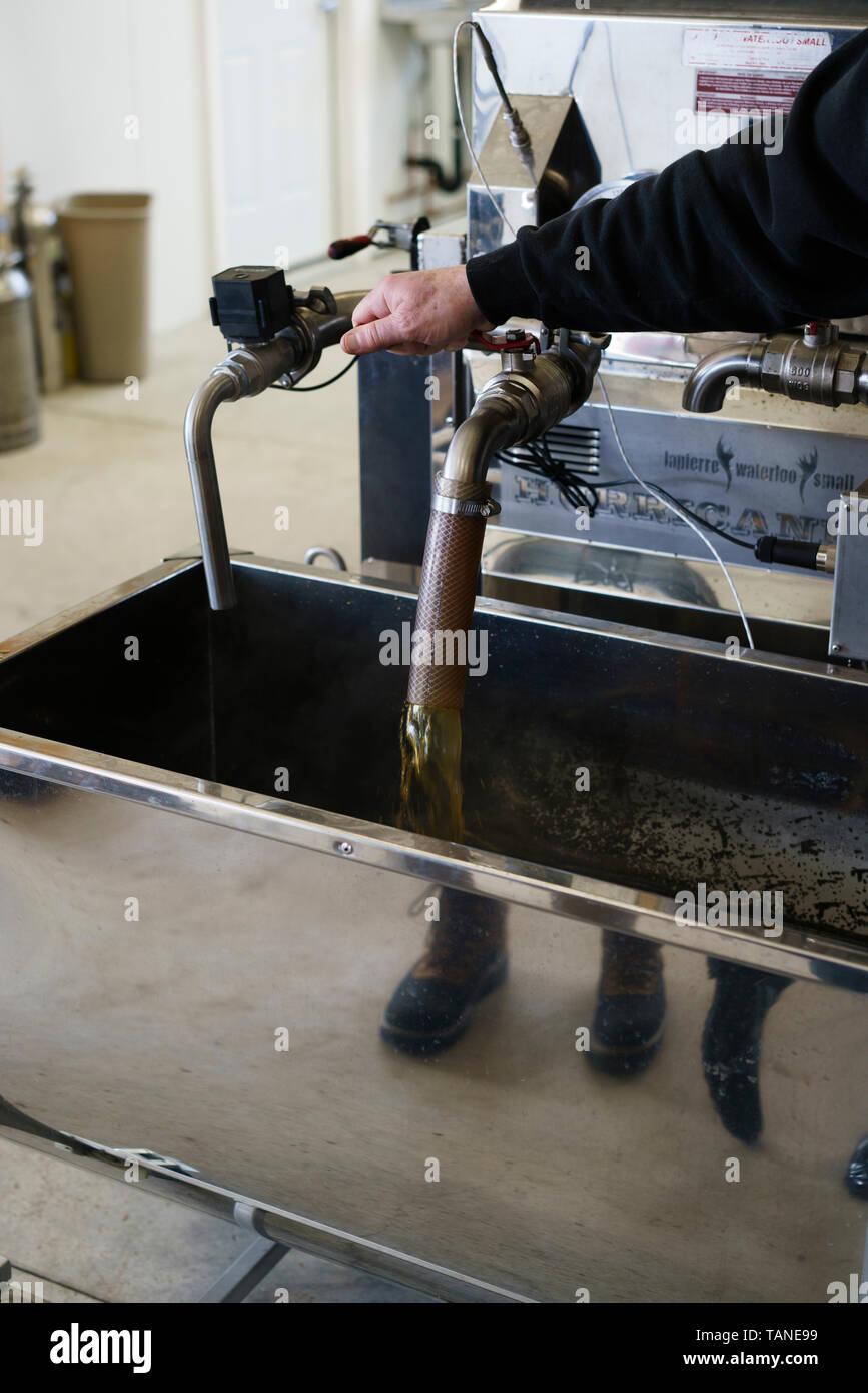 Granville / USA - April 2019: A man releasing freshly cooked maple ...