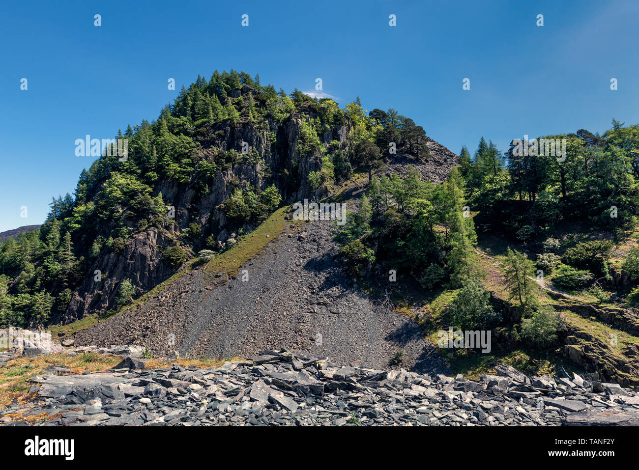 Castle Crag in Borrowdale Cumbria Stock Photo - Alamy