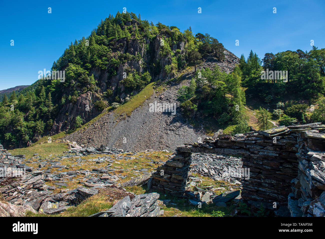 Castle Crag in Borrowdale Cumbria Stock Photo - Alamy