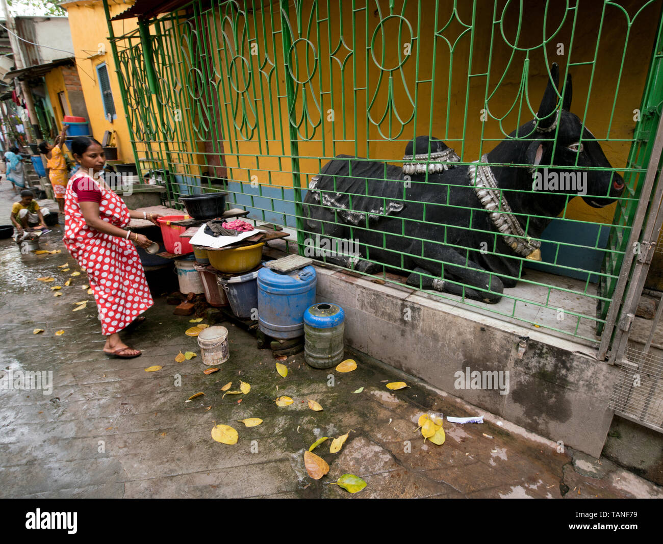 Hindu sacred cow statue and women washingnear Kalighat, Calcutta India ...