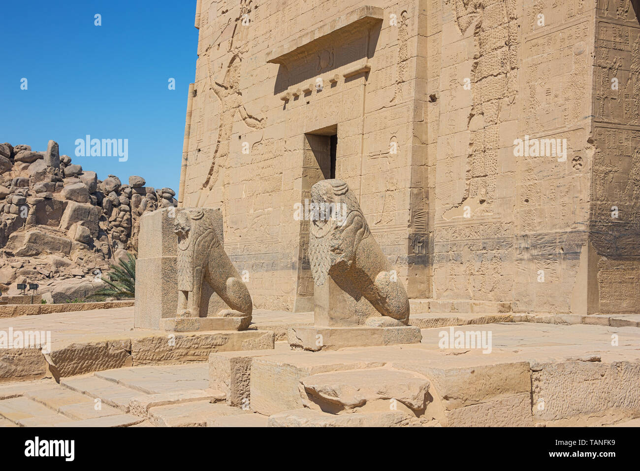 Lions guarding the entrance of the temple of Isis Stock Photo - Alamy