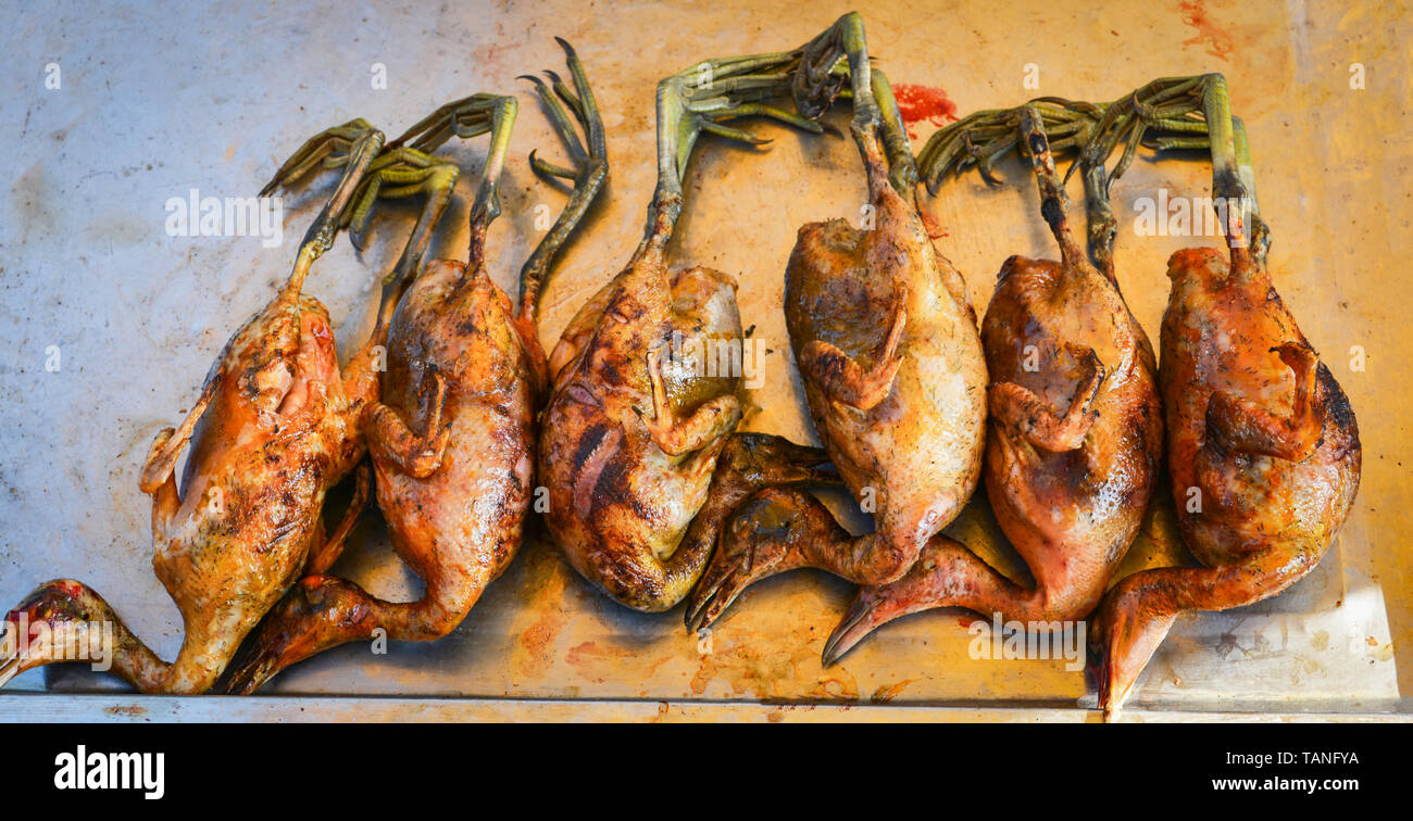 Raw meat bird white breasted waterhen and water duck dead from the farm ...