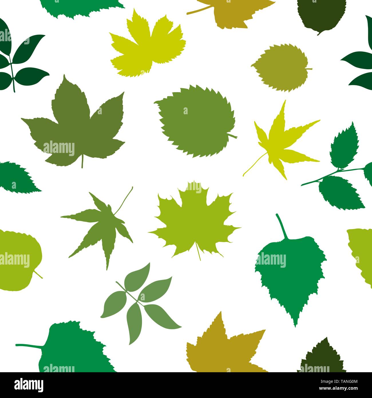 Seamless pattern with leaves of different plants. Modern random colors ...