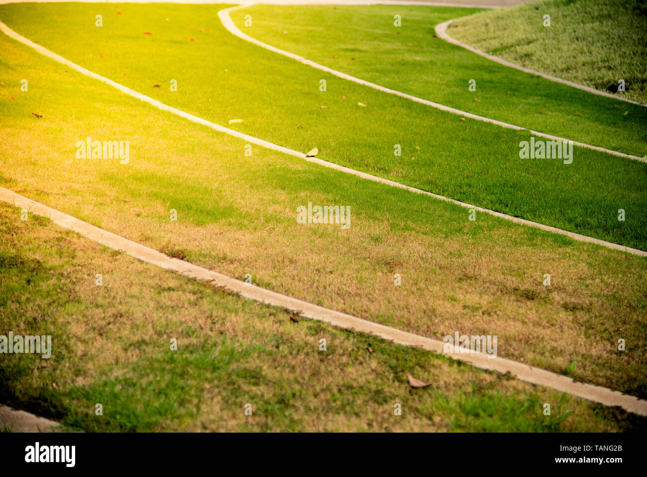 Grassy path park hi-res stock photography and images - Alamy
