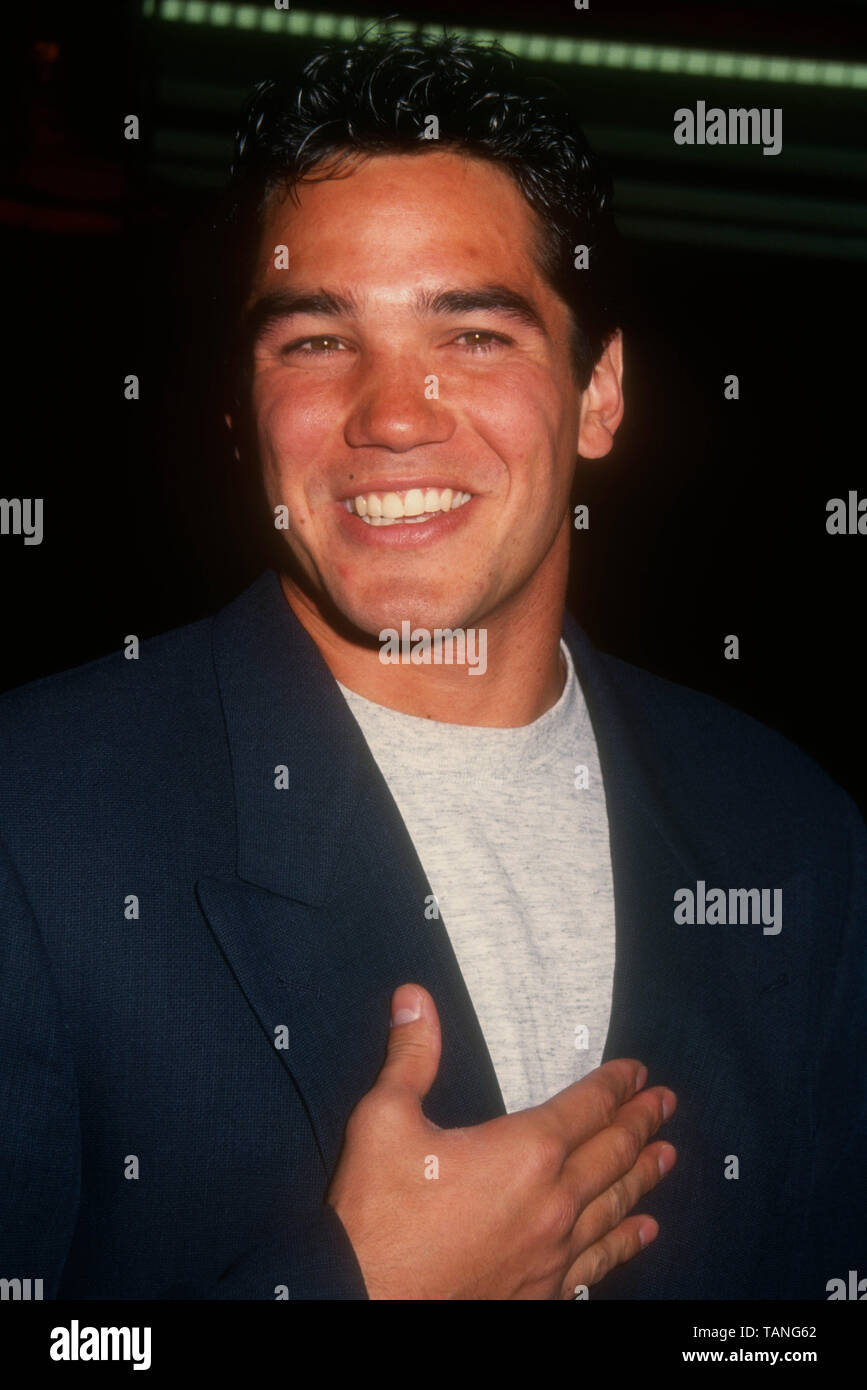 Hollywood, California, USA 4th May 1994 Actor Dean Cain attends 'APLA ...