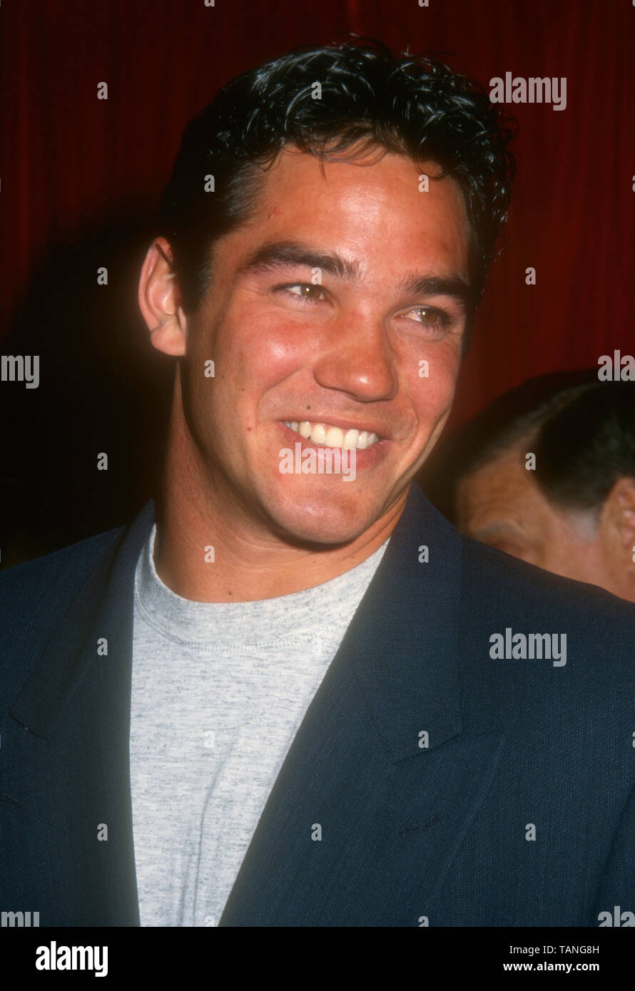 Hollywood, California, USA 4th May 1994 Actor Dean Cain attends 'APLA ...