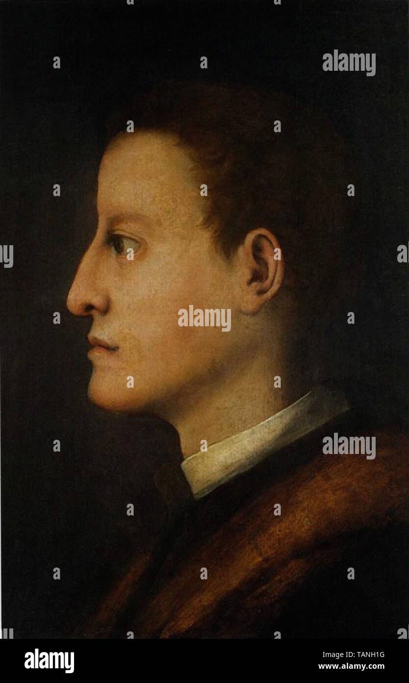 Jacopo da pontormo medici hi-res stock photography and images - Alamy