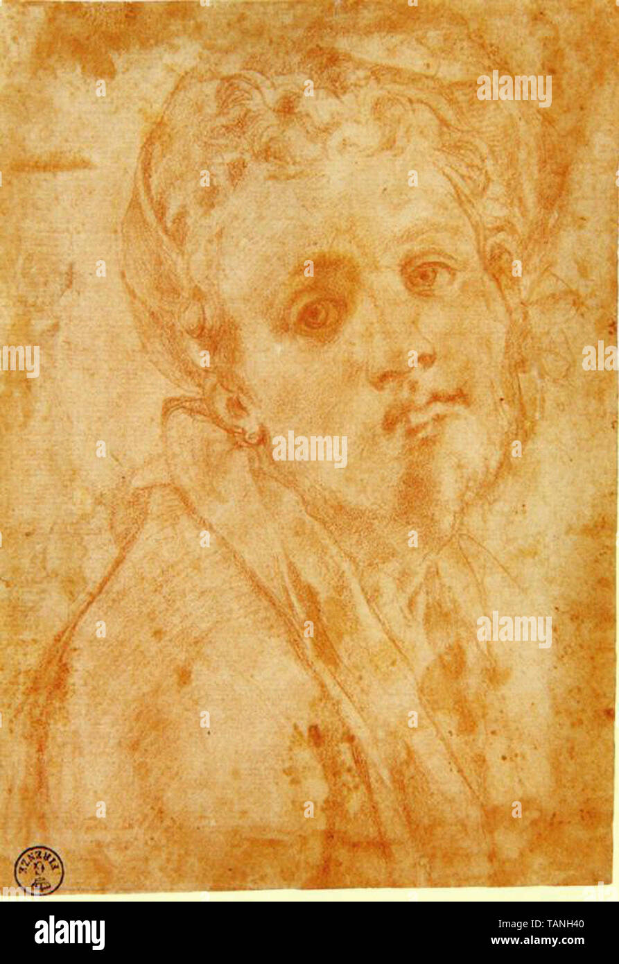 Jacopo Carucci a.k.a Jacopo da Pontormo - self portrait c 1527 Stock ...