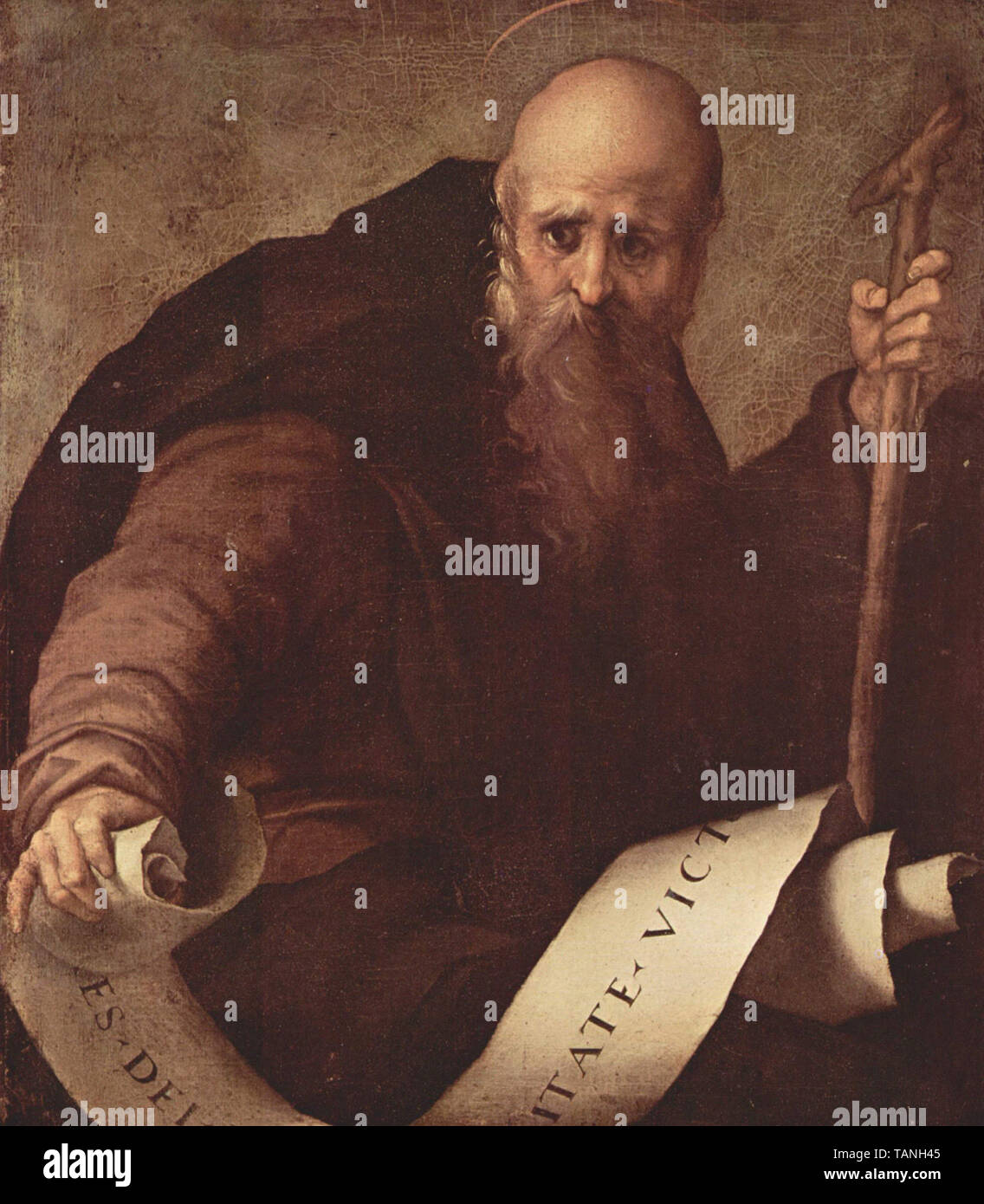 Jacopo da pontormo jacopo carucci hi-res stock photography and images ...