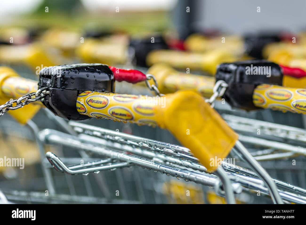 RUSSI (RA), ITALY - MAY 27, 2019: sunlight is enlightening and ...