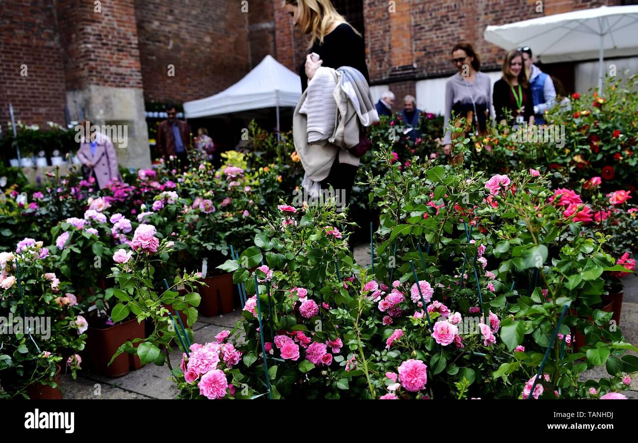 Flora et decora hi-res stock photography and images - Alamy