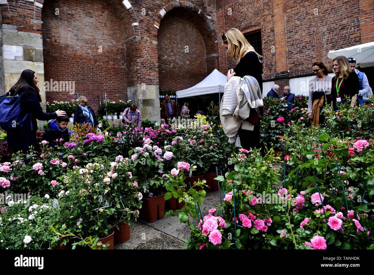 Flora et decora hi-res stock photography and images - Alamy