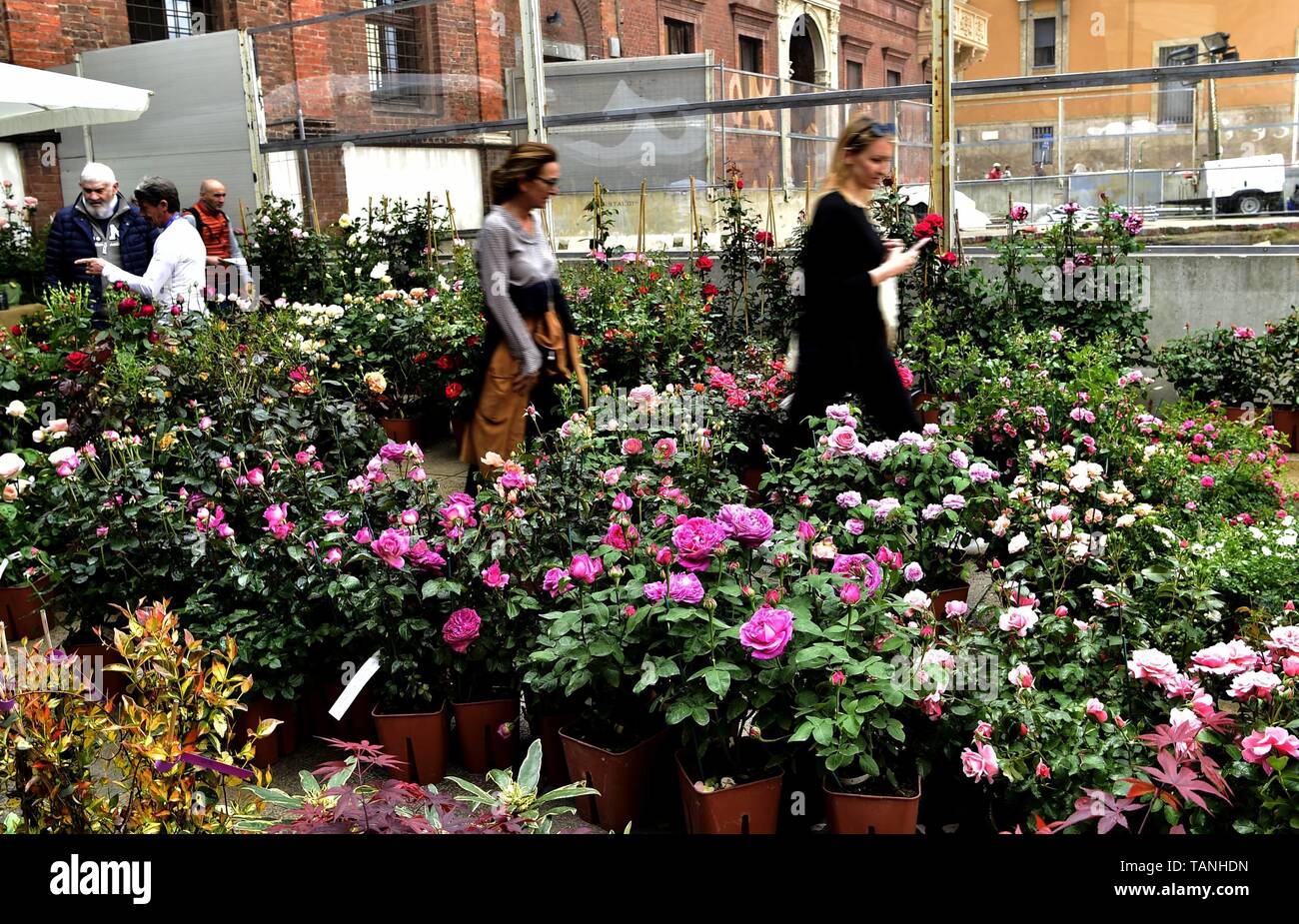 Flora et decora hi-res stock photography and images - Alamy