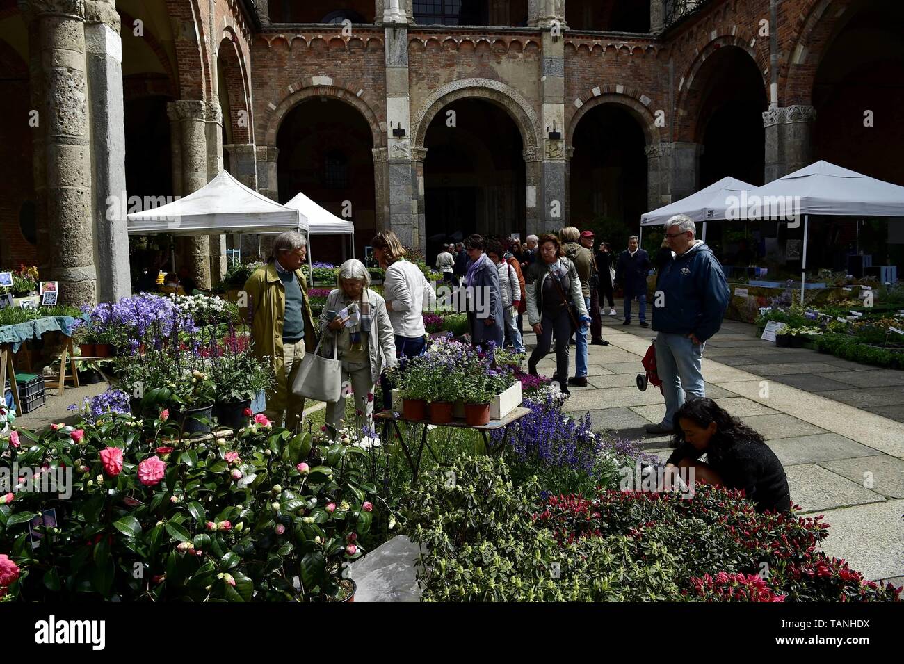 Flora et decora hi-res stock photography and images - Alamy