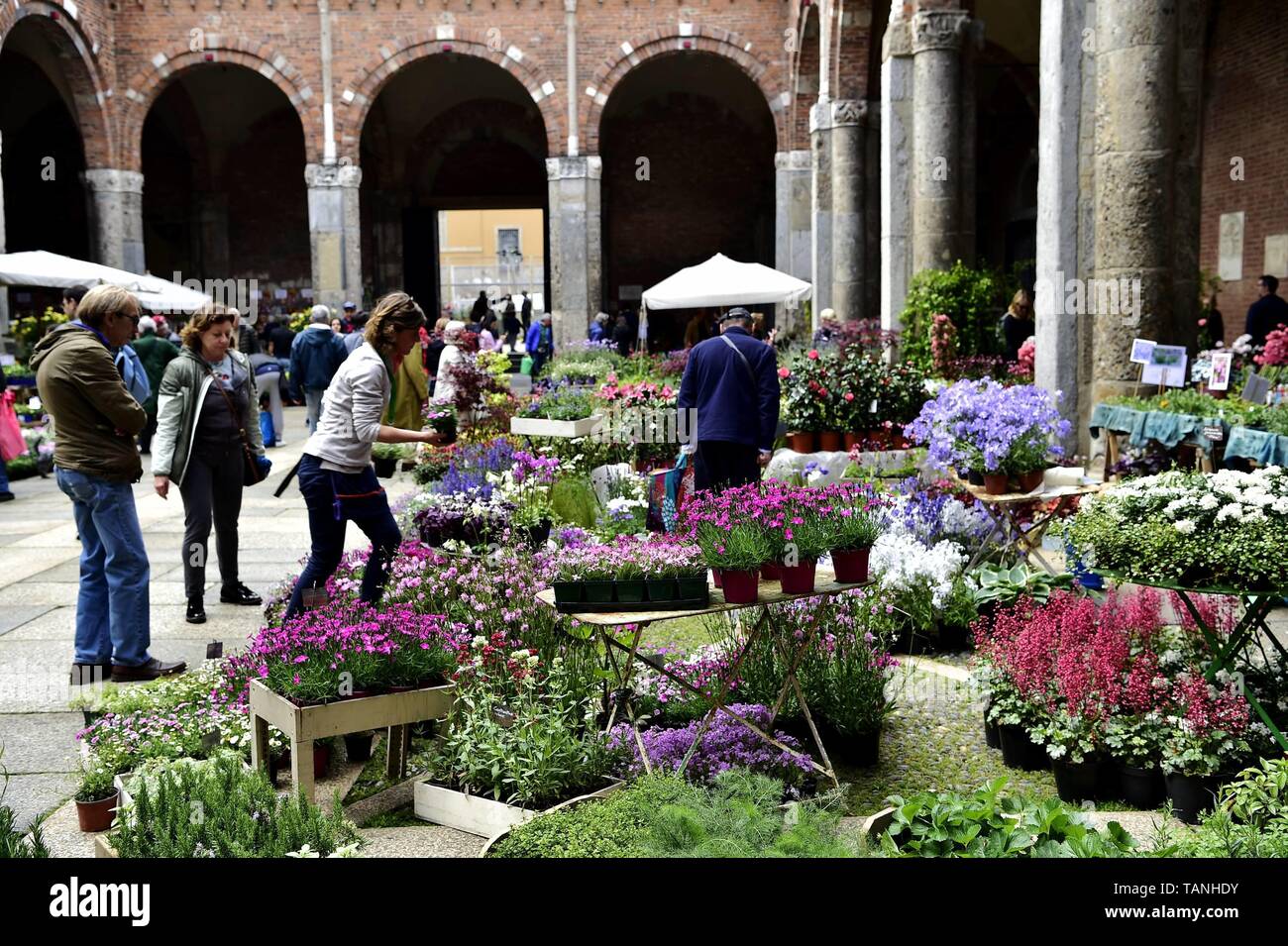 Flora et decora hi-res stock photography and images - Alamy