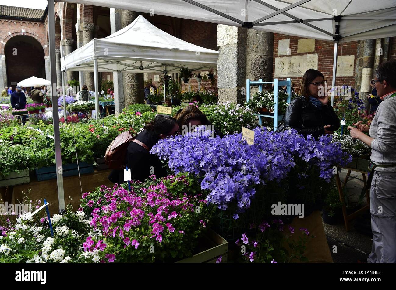 Flora et decora hi-res stock photography and images - Alamy