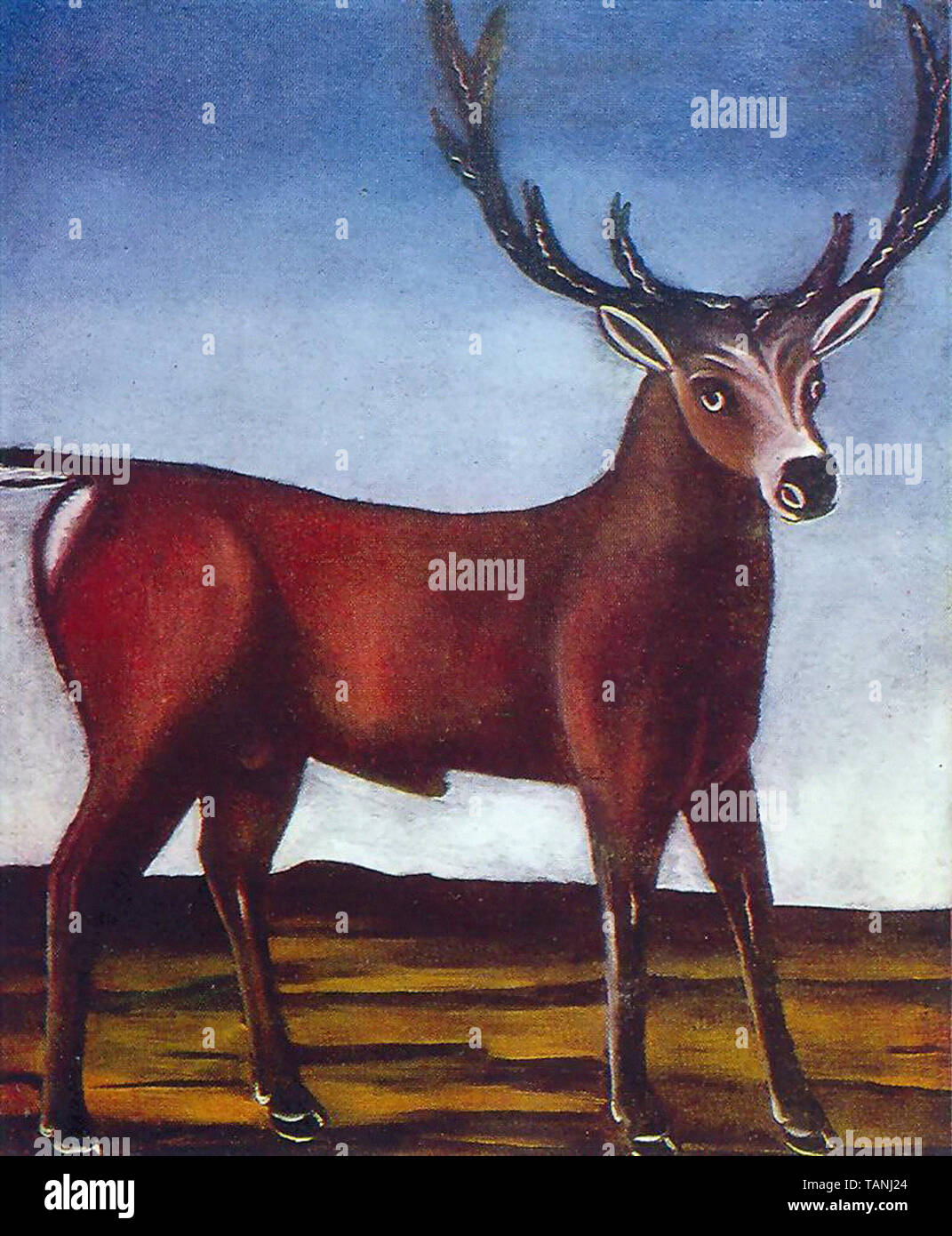 Antlered deer art hi-res stock photography and images - Alamy