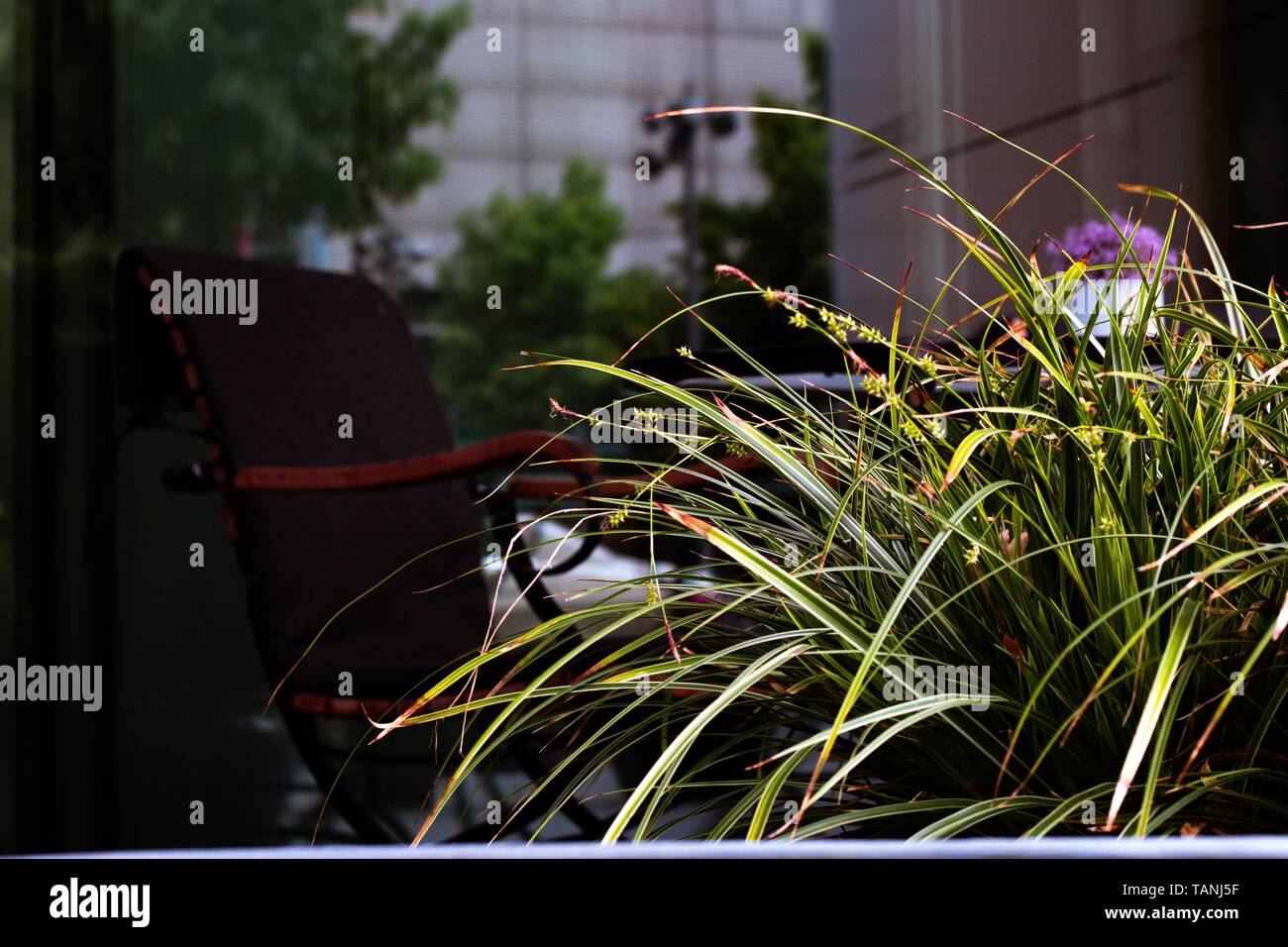 Down sit sitdown hi-res stock photography and images - Alamy