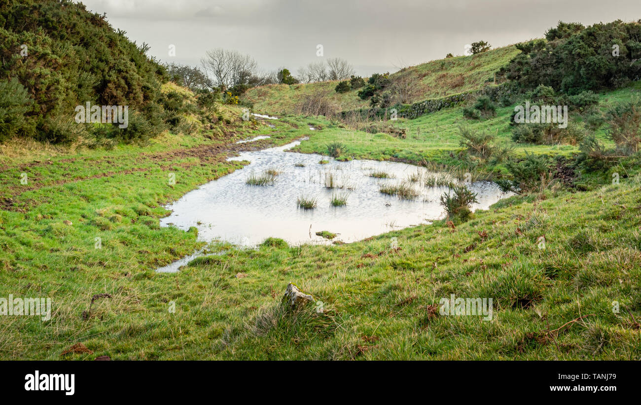 A large puddle of rainwater forms in a dip in a pasture following heavy ...