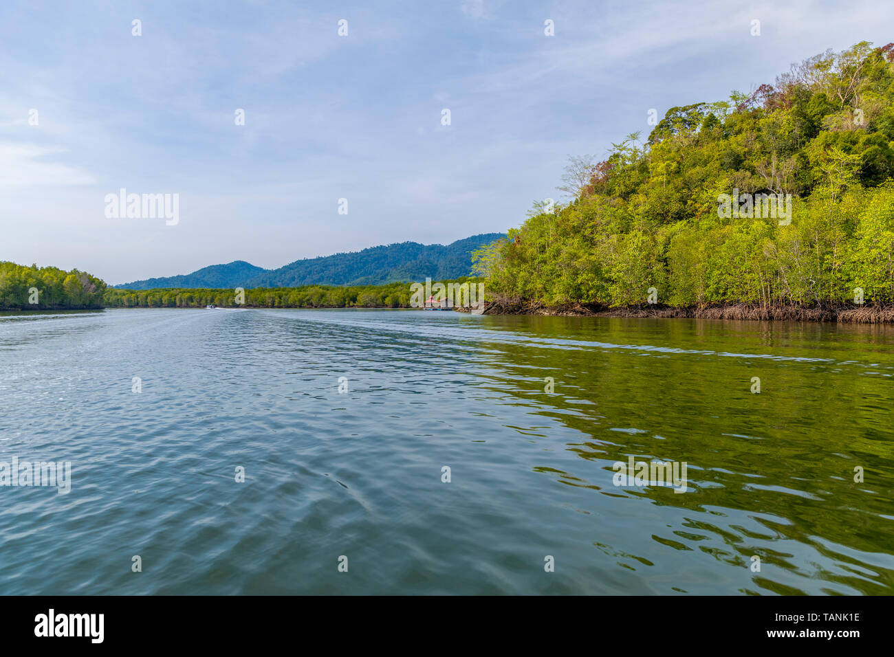 Kilim Geoforest Park, Langkawi, Malaysia Stock Photo - Alamy