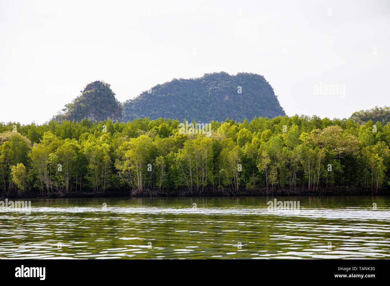 Kilim Geoforest Park, Langkawi, Malaysia Stock Photo - Alamy