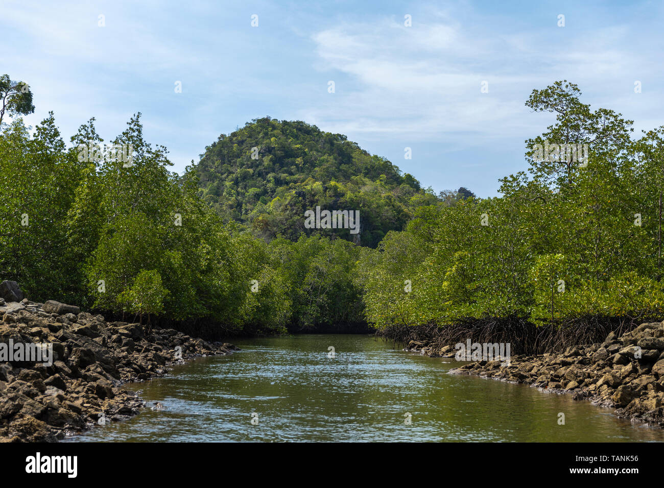 Kilim Geoforest Park, Langkawi, Malaysia Stock Photo - Alamy