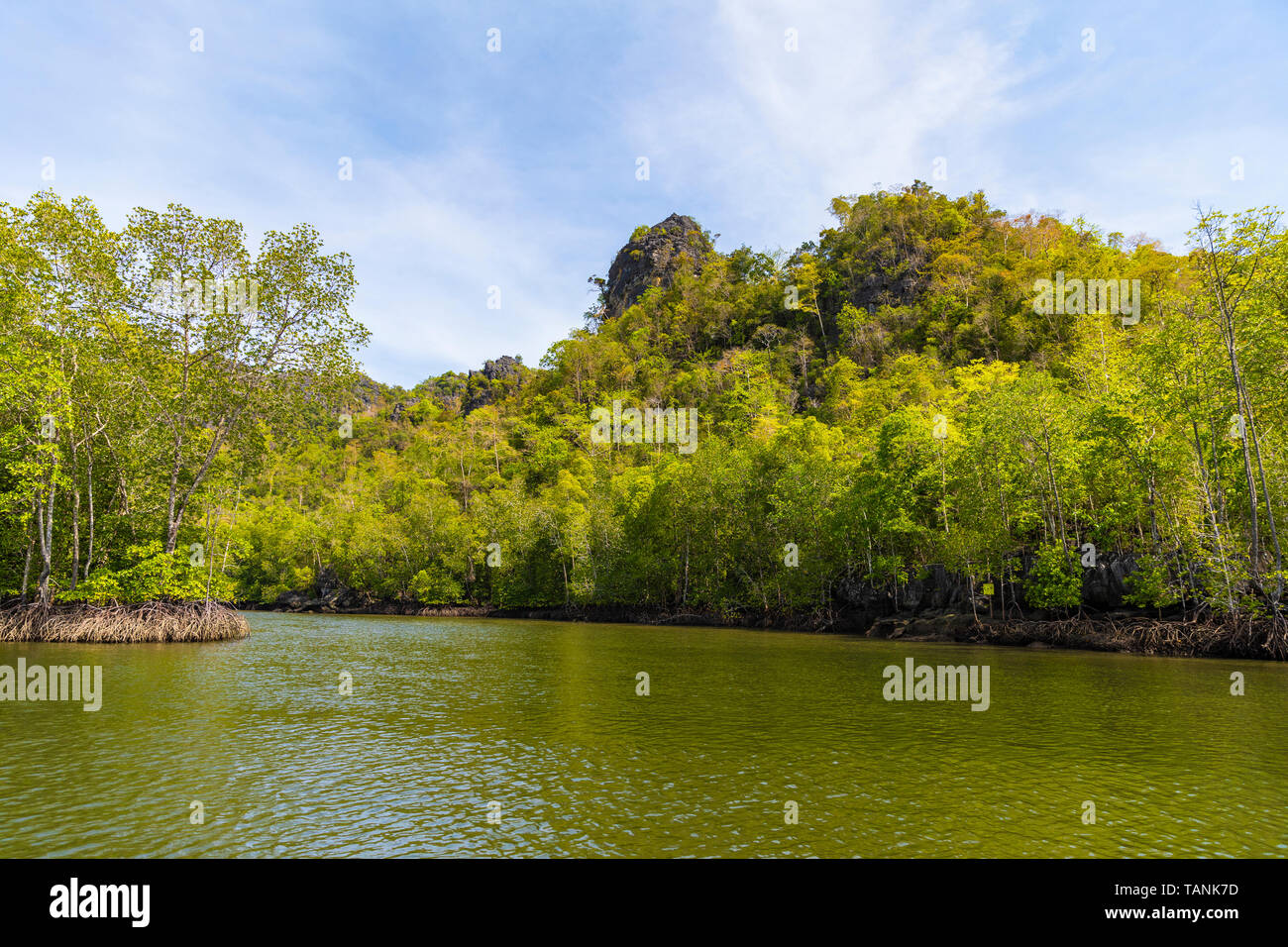 Kilim Geoforest Park, Langkawi, Malaysia Stock Photo - Alamy