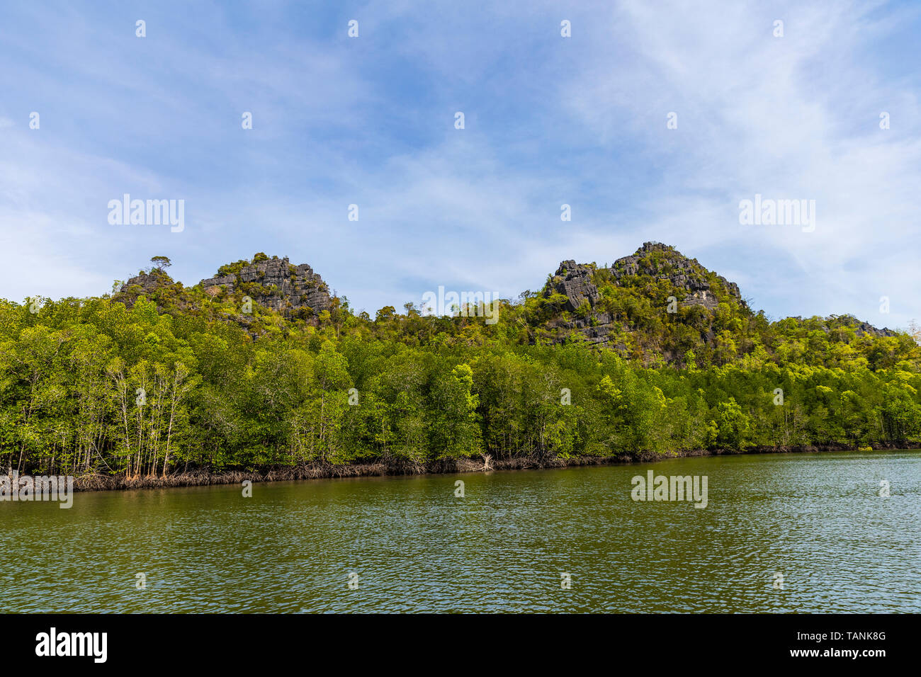 Kilim Geoforest Park, Langkawi, Malaysia Stock Photo - Alamy