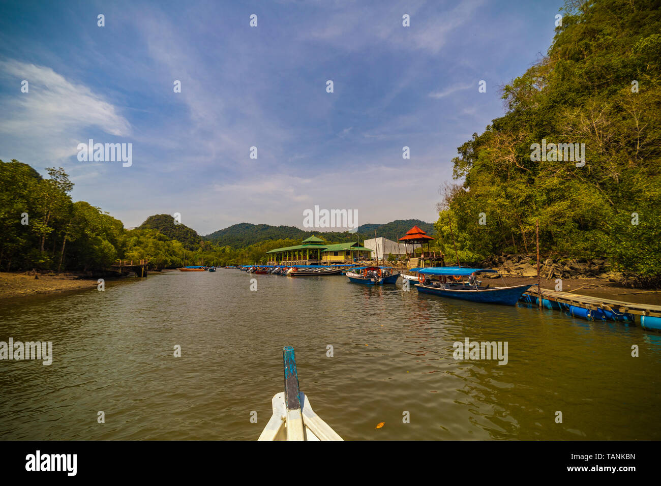 Kilim Geoforest Park, Langkawi, Malaysia Stock Photo - Alamy