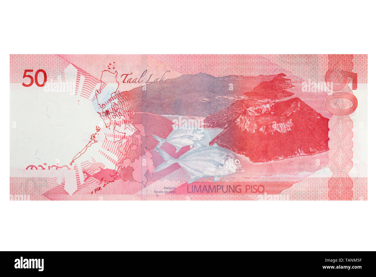 Philippine 50 Peso Bill
