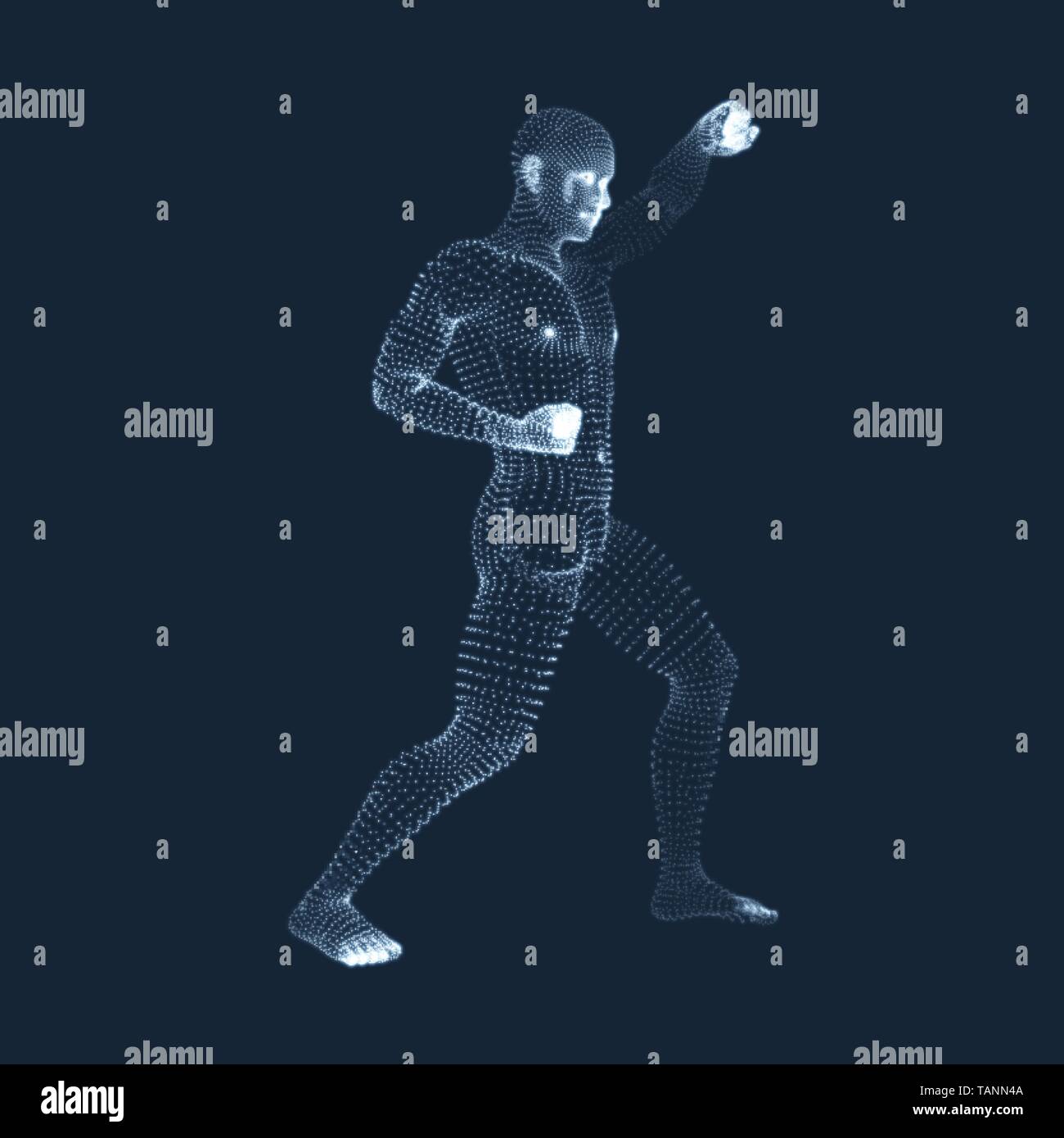 Fighting Man. 3D Model of Man. Human Body Model. Body Scanning. View of ...