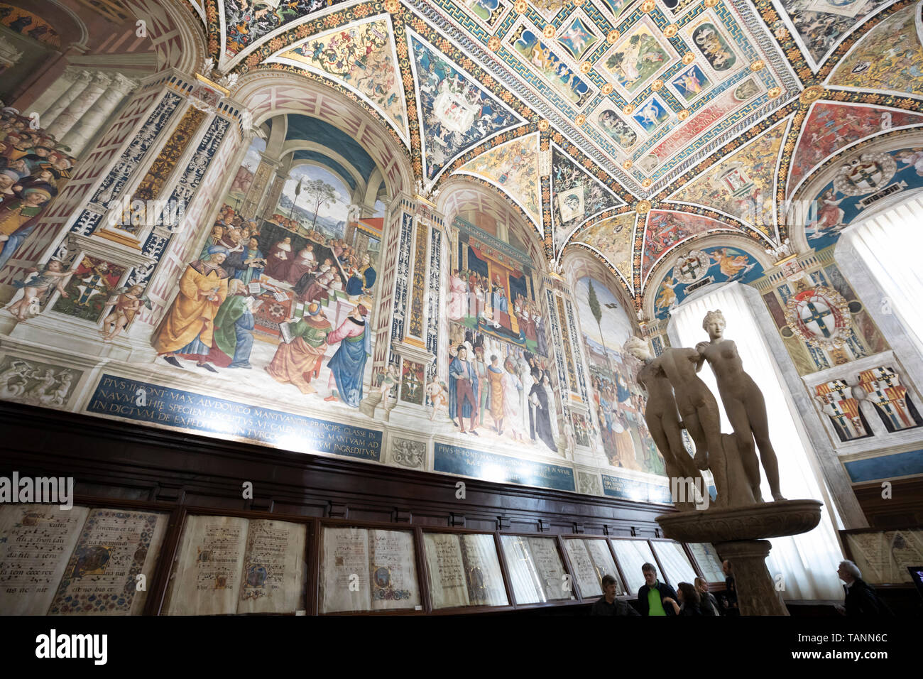 Libreria di piccolomini hi-res stock photography and images - Alamy