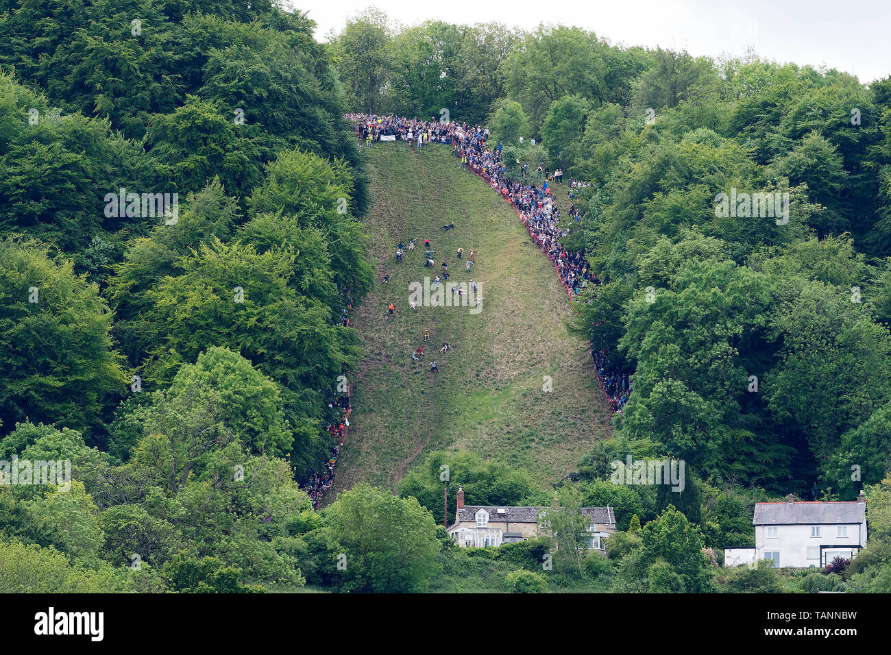 Participants take park in the annual cheese rolling races down Coopers ...