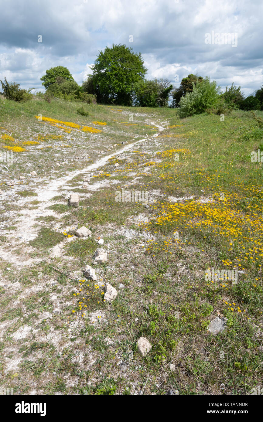 Chalk pit hi-res stock photography and images - Alamy