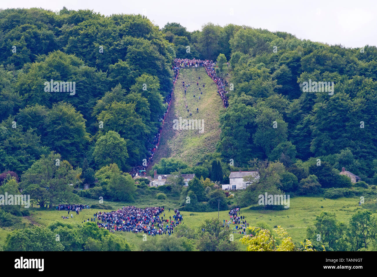 Participants take park in the annual cheese rolling races down Coopers ...