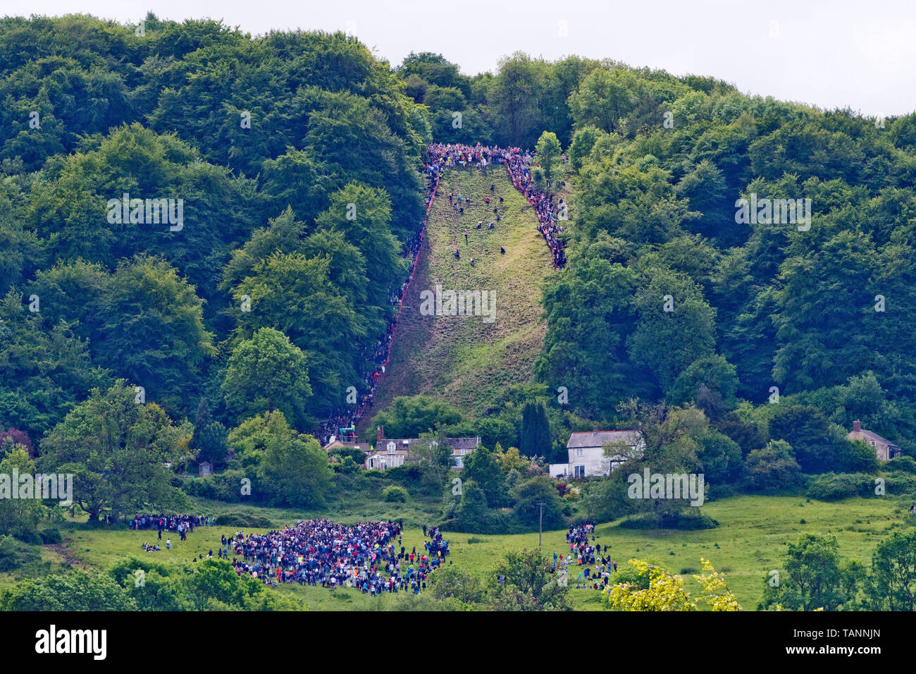 Participants take park in the annual cheese rolling races down Coopers ...