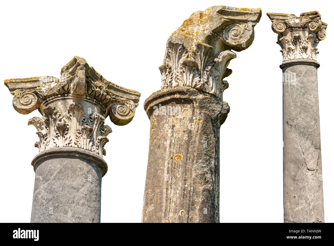 Collection of columns with capitals in Corinthian style isolated on ...