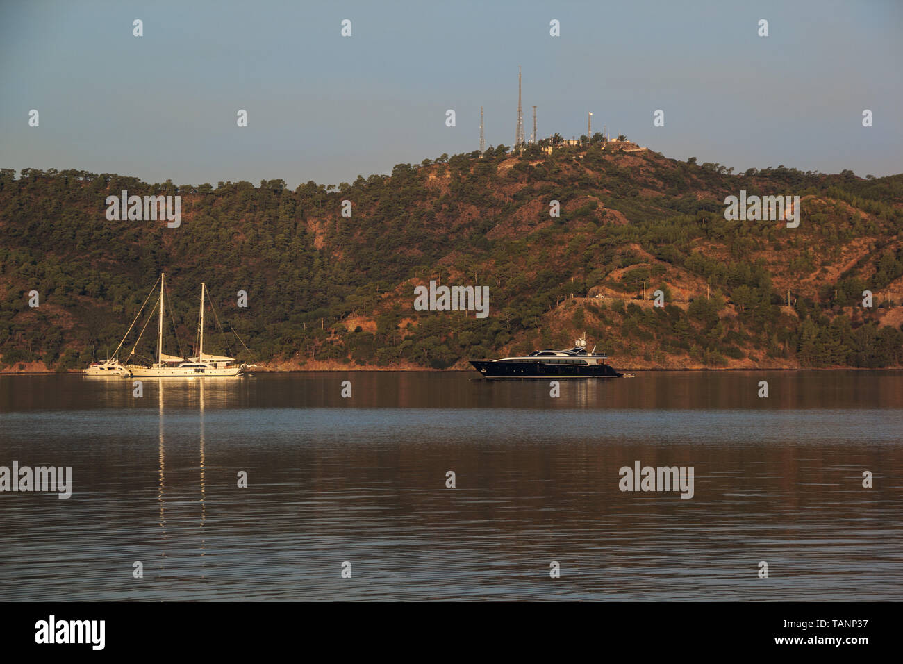 Soft morning sun hi-res stock photography and images - Alamy