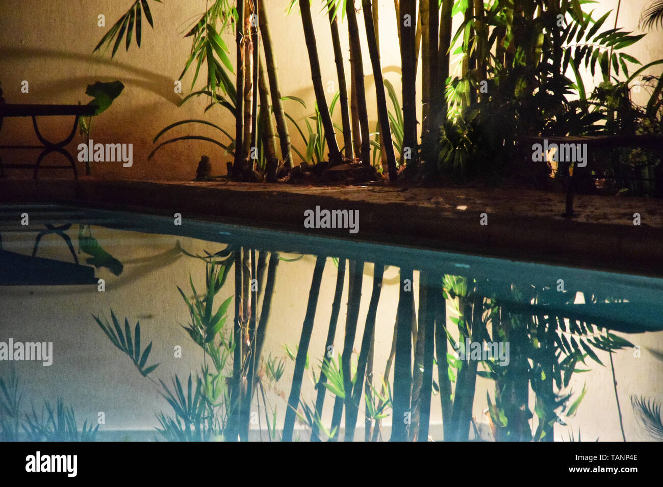 Swimming pool lit by night, cochin, kerala, india Stock Photo - Alamy