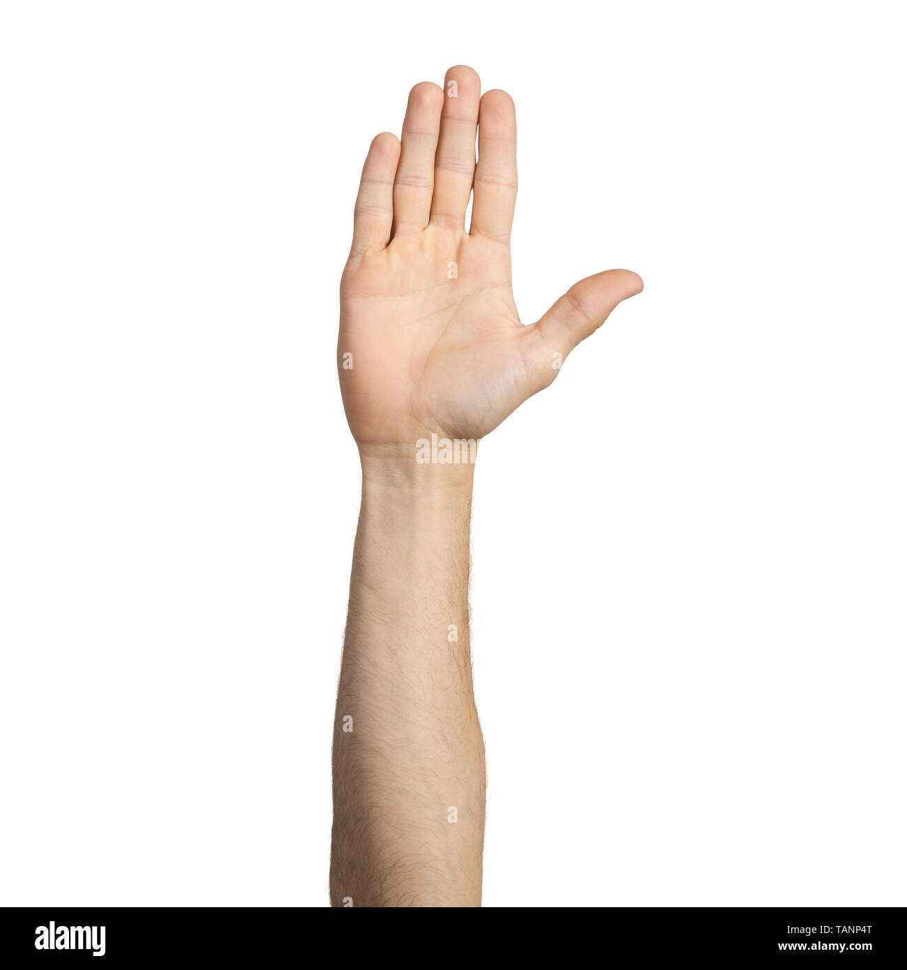 Adult man hand showing open palm gesture Stock Photo - Alamy