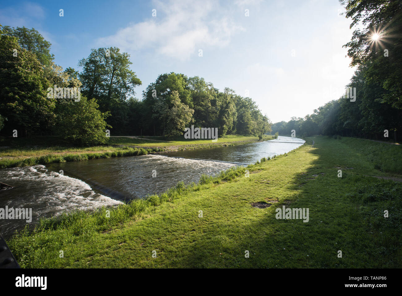 Erle hi-res stock photography and images - Alamy