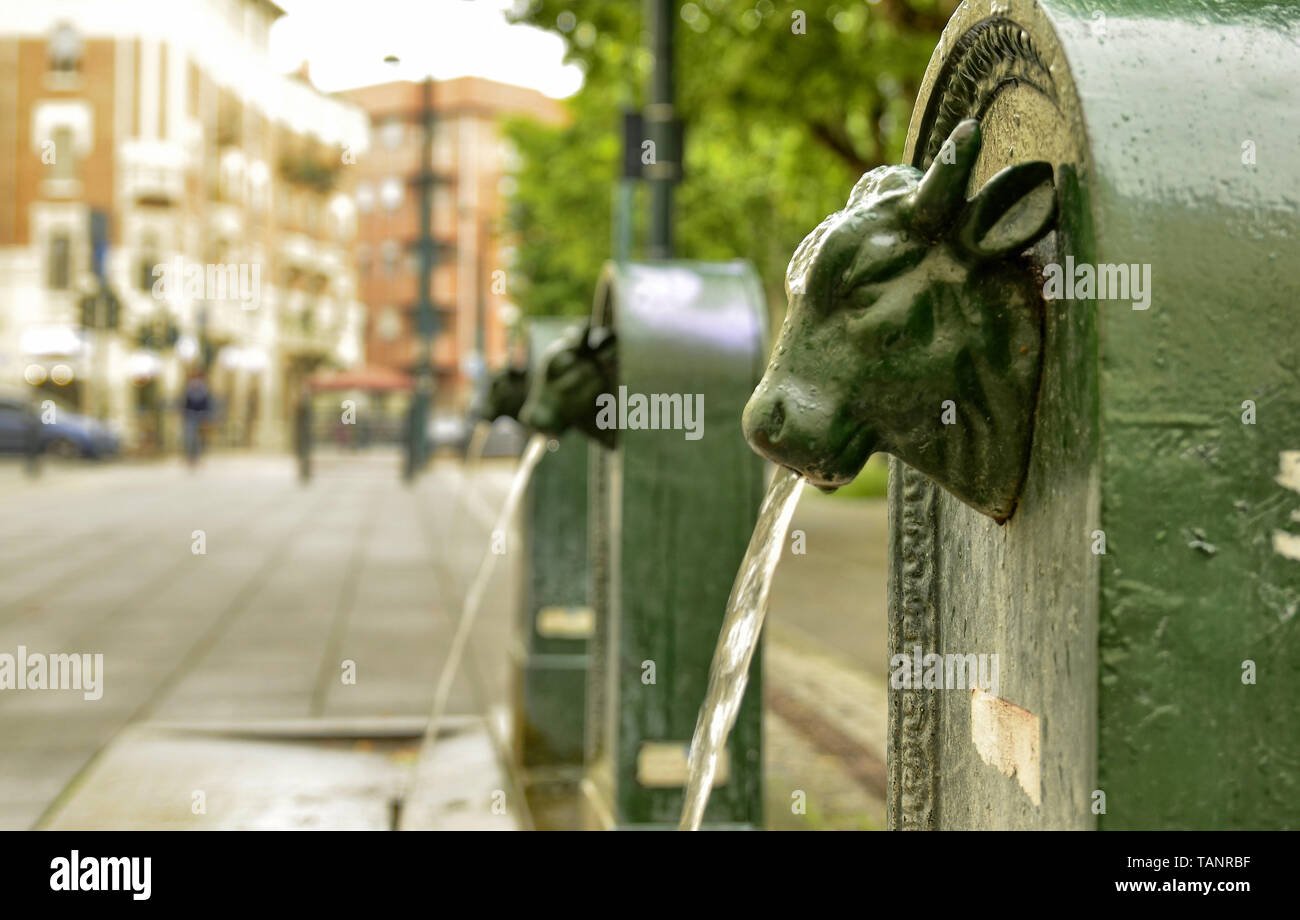 Turin, Piedmont, Italy. May 2019. A look at Piazza Gian Lorenzo Bernini ...